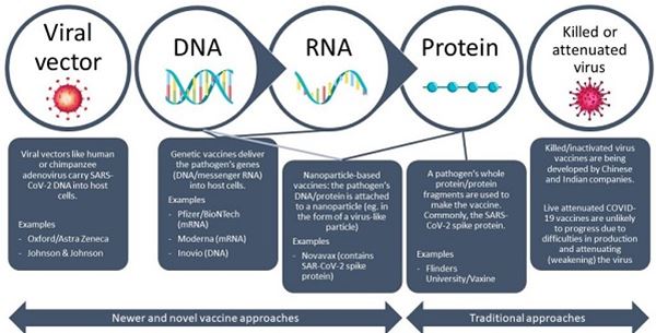 Vaccine platforms and limited global production capacity | Blog ...